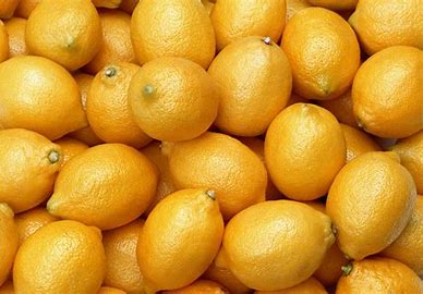 Lemons (each) – The Produce Shed